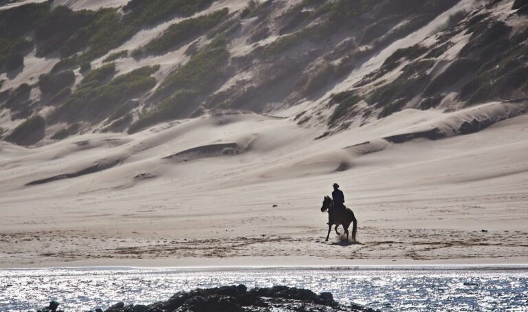 Tera Term 機器ログインマクロ作成ガイド【connect】 | Tera Term マクロを作って楽しよう